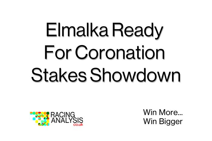 Horse Racing Tips - Racing Analysis